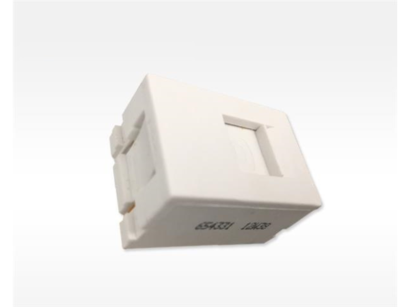 Ổ cắm mạng cat6 Rivia Legrand 654333 1 mô-đun